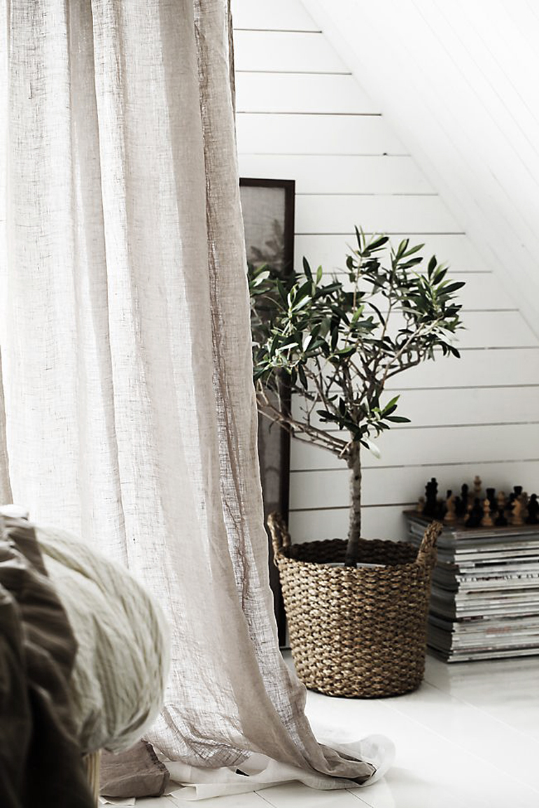 Deco trend: Διακοσμώντας με ελιές σε εσωτερικούς χώρους | Τεχνοτροπίες ...