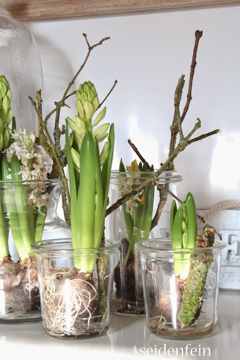 28 Υπέροχες DIY ιδέες ανοιξιάτικης διακόσμησης με γυάλινα βάζα ...